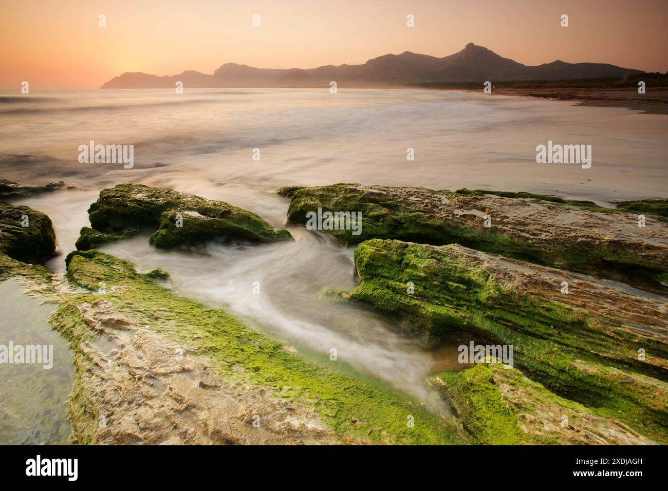 Sa Canova Beach, Son Serra de Marina. Artà. Mallorca. Spain Stock Photo ...