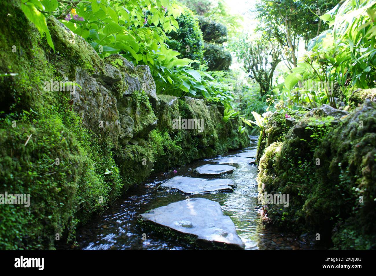Stone steps japanese garden hi-res stock photography and images - Alamy