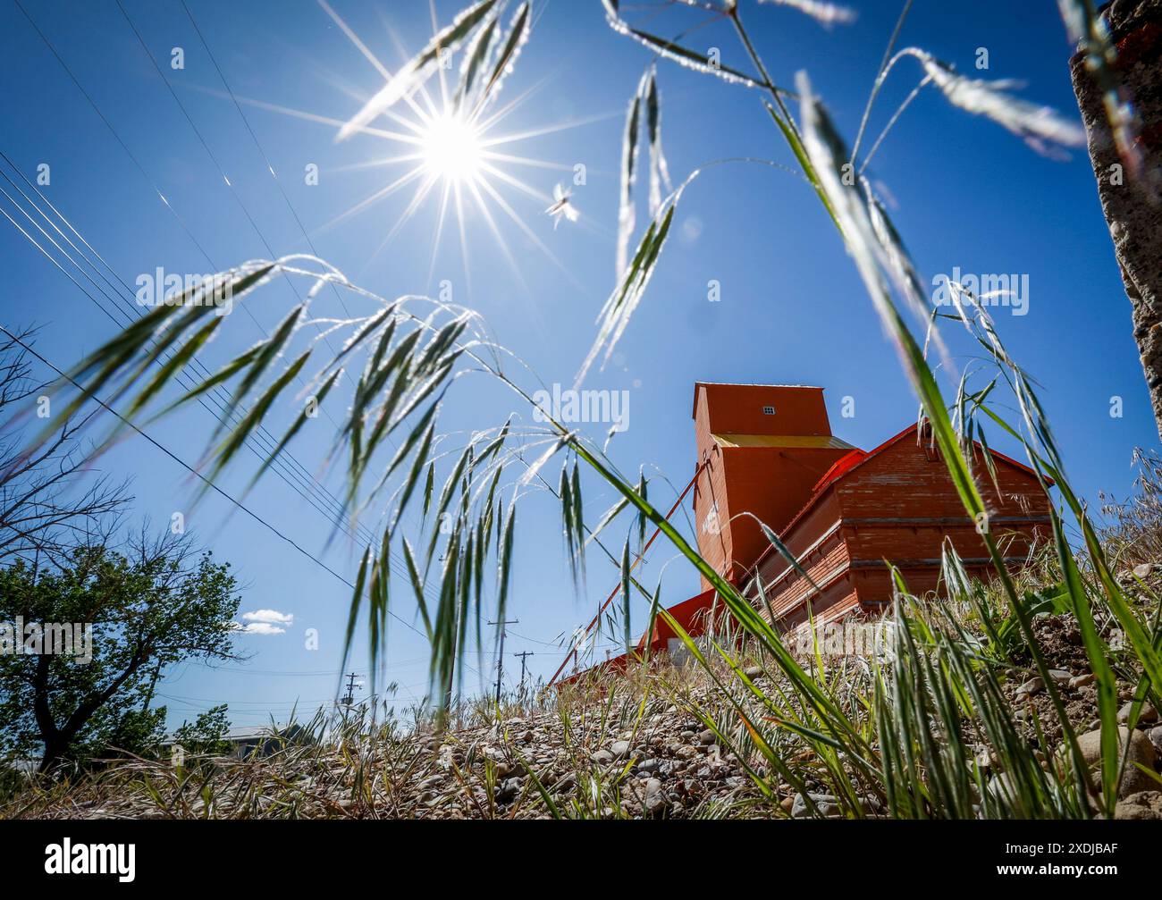 Nanton's Canadian Grain Elevator Discovery Centre features three ...