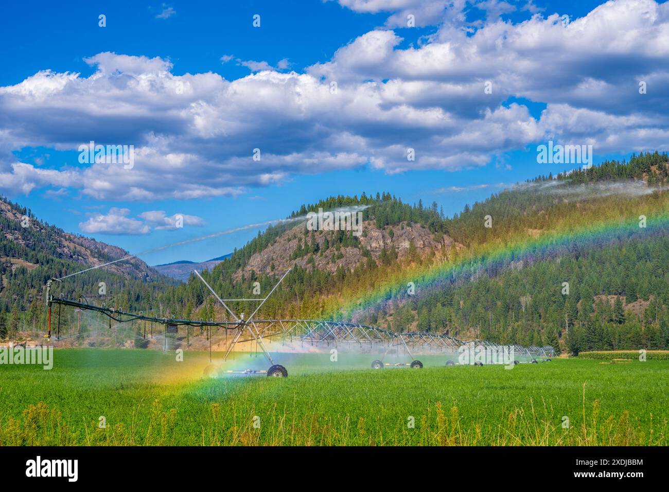 Irrigation sprinklers watering a field of hay in a rural valley in ...