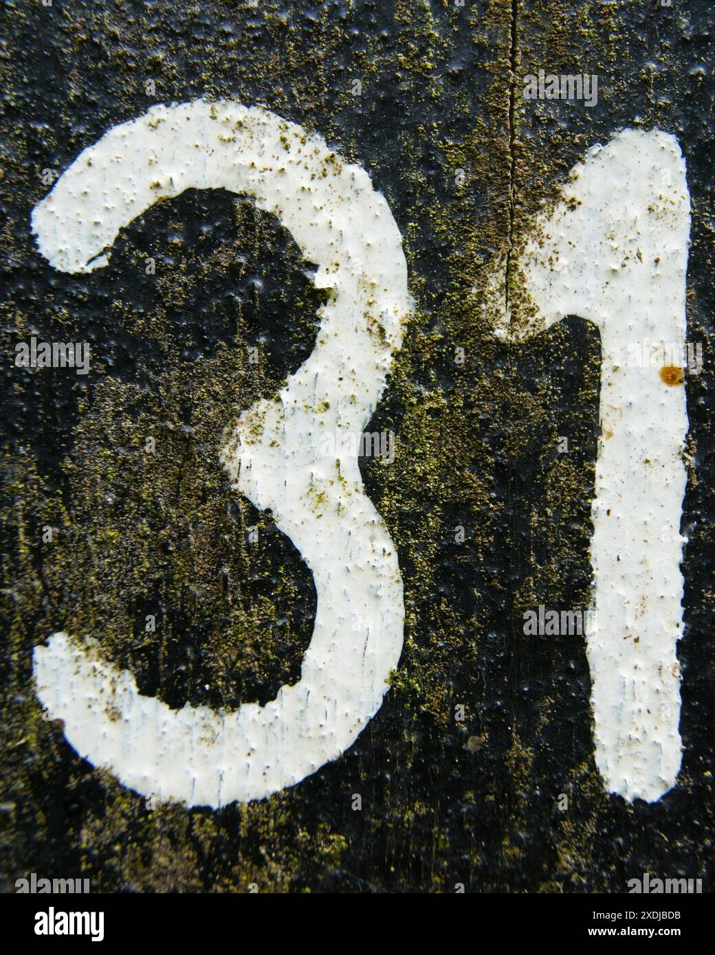 Number 31, White number on a dark background Stock Photo - Alamy