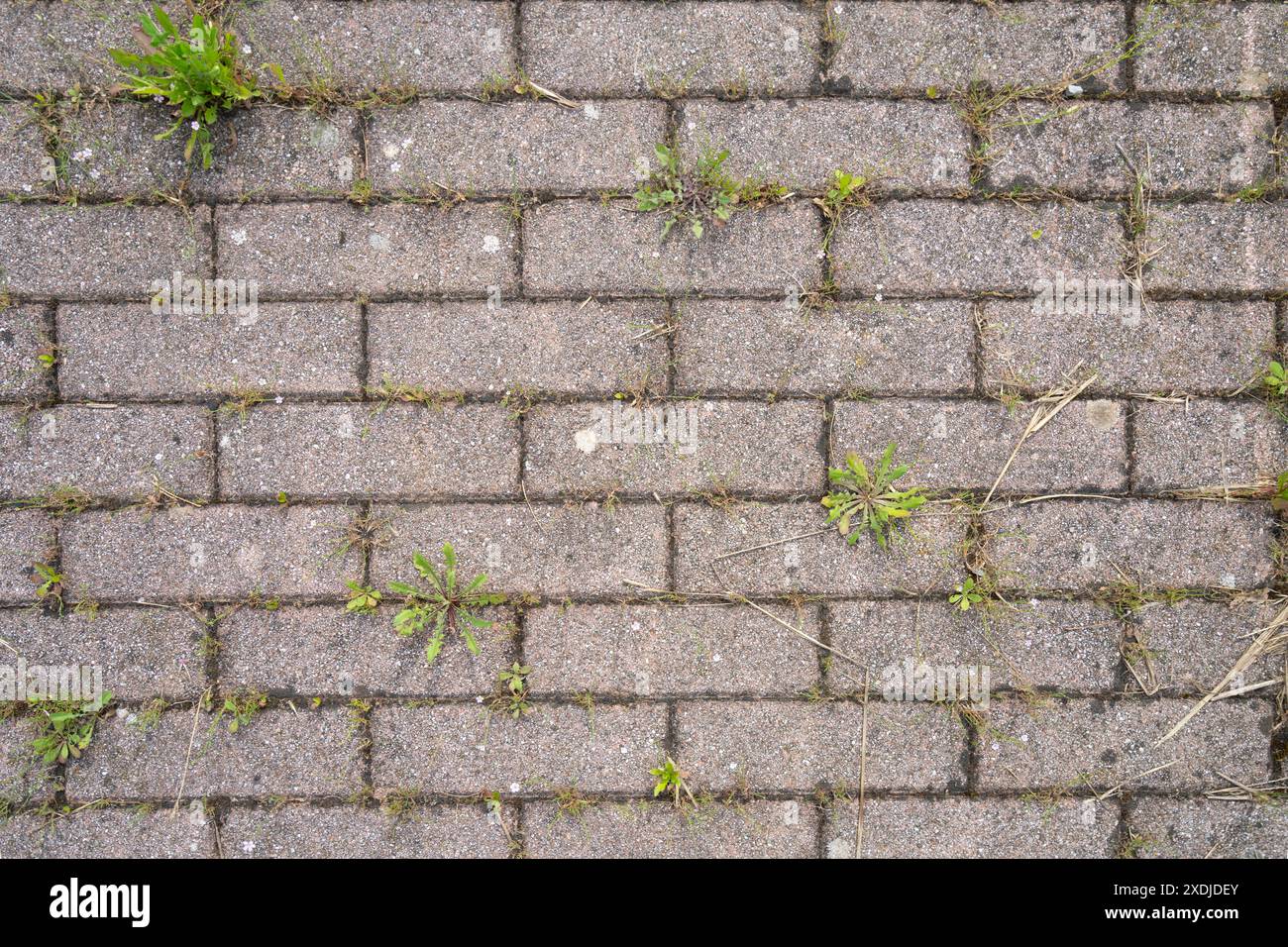 Concrete road footpath sidewalk hi-res stock photography and images - Alamy