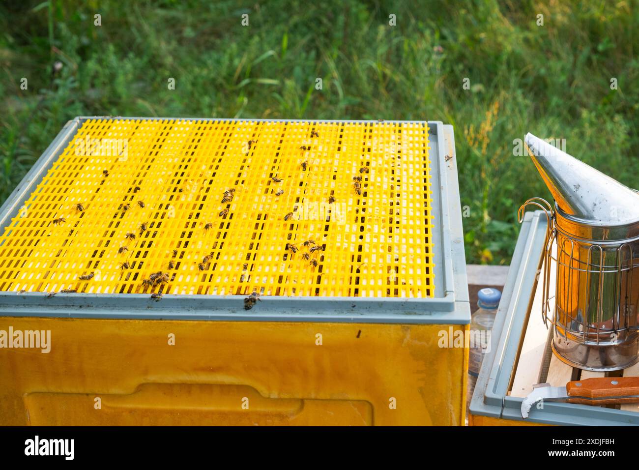 An open hive with frames and bees in rural areas, a bee fumigator ...