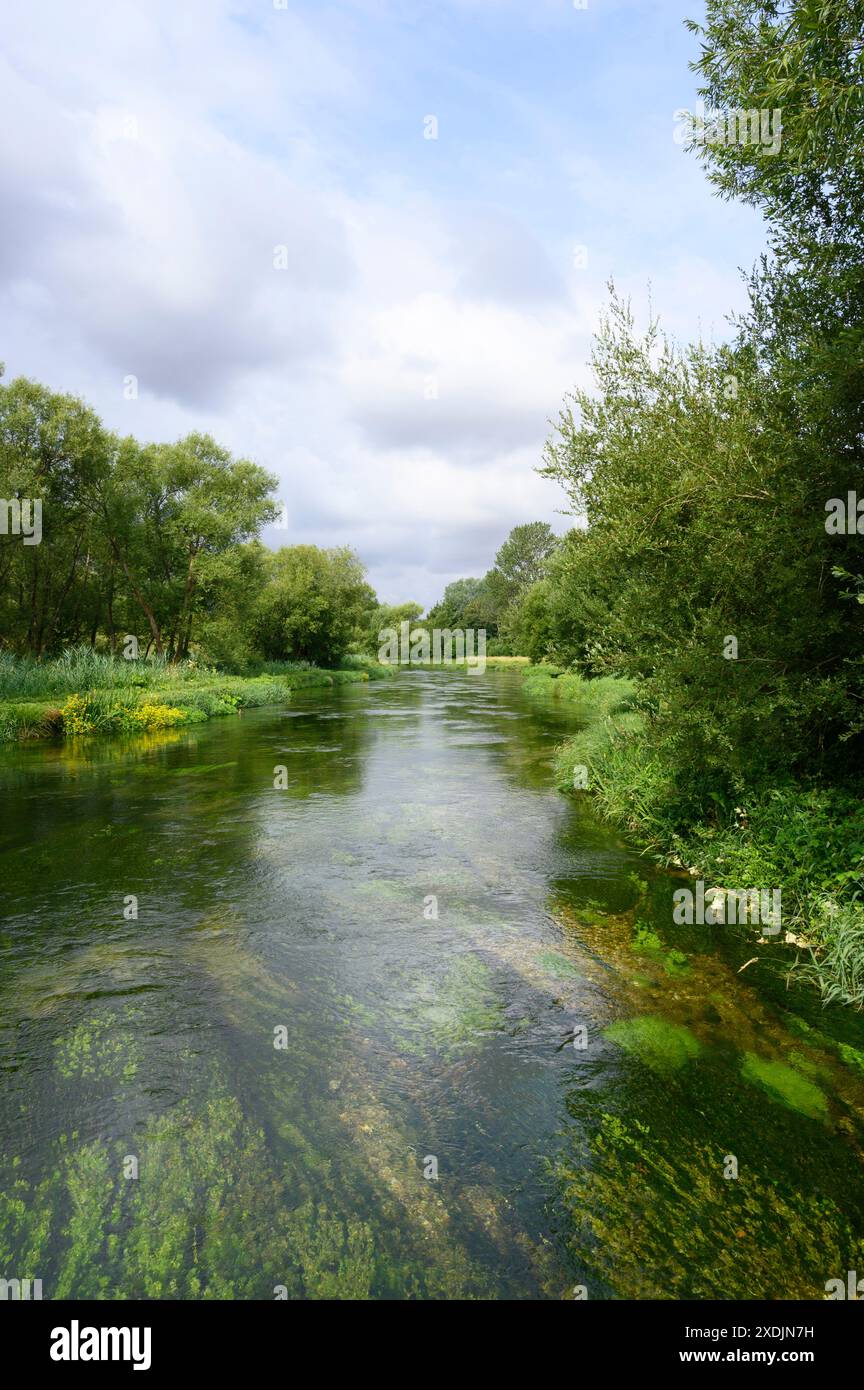 Chalk valley stream uk hi-res stock photography and images - Alamy