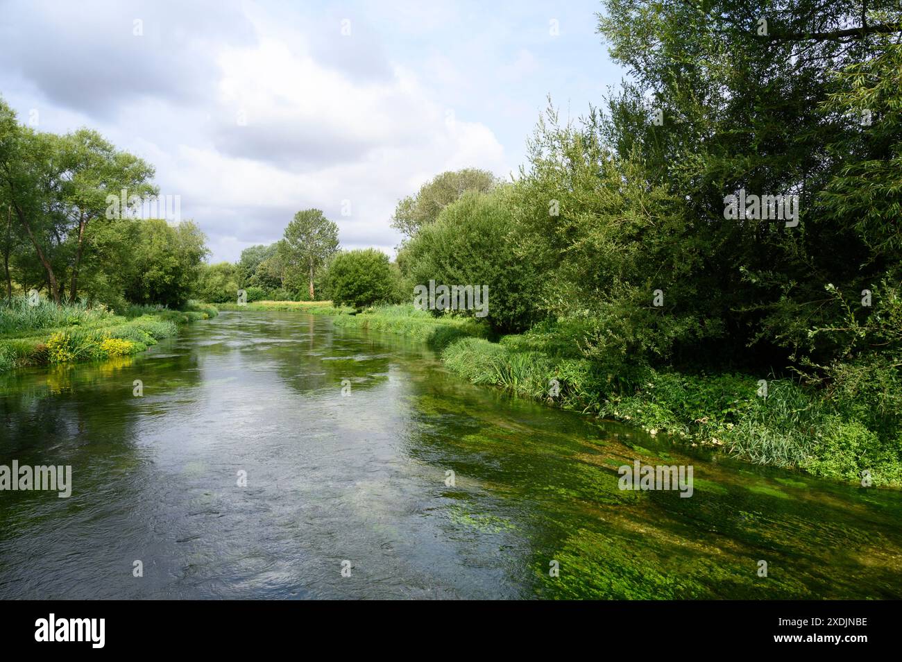 Winchester. England. The River Itchen at Martyr Worthy. The river is is ...