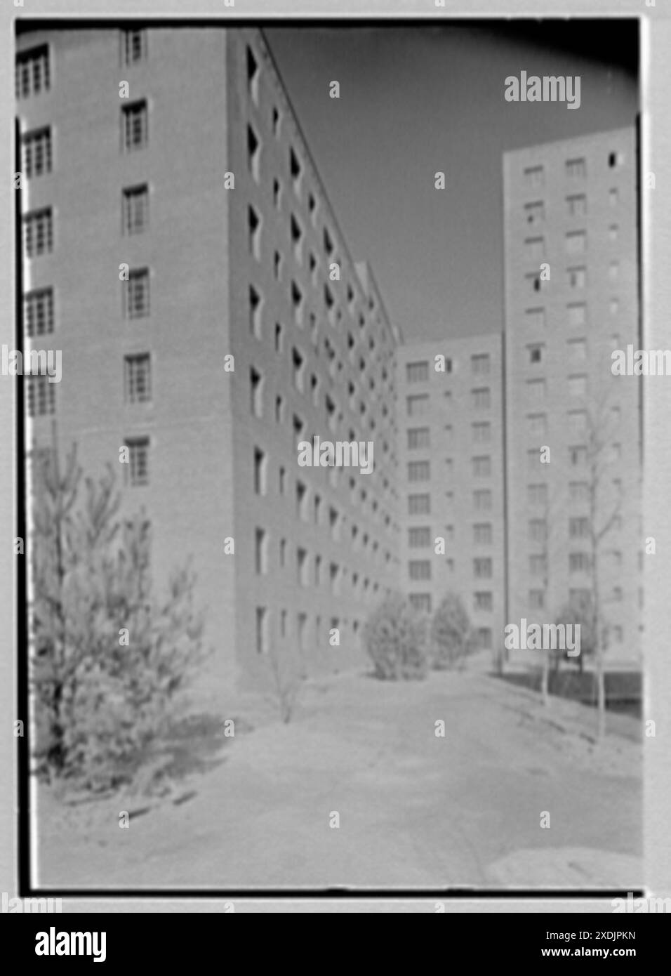 Metropolitan Housing, Bronx, New York. Detail. Gottscho-Schleisner ...