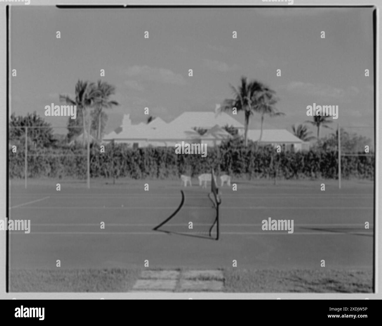Mr. and Mrs. Edward Swenson, residence at 21 Casurina Concourse, Coral ...