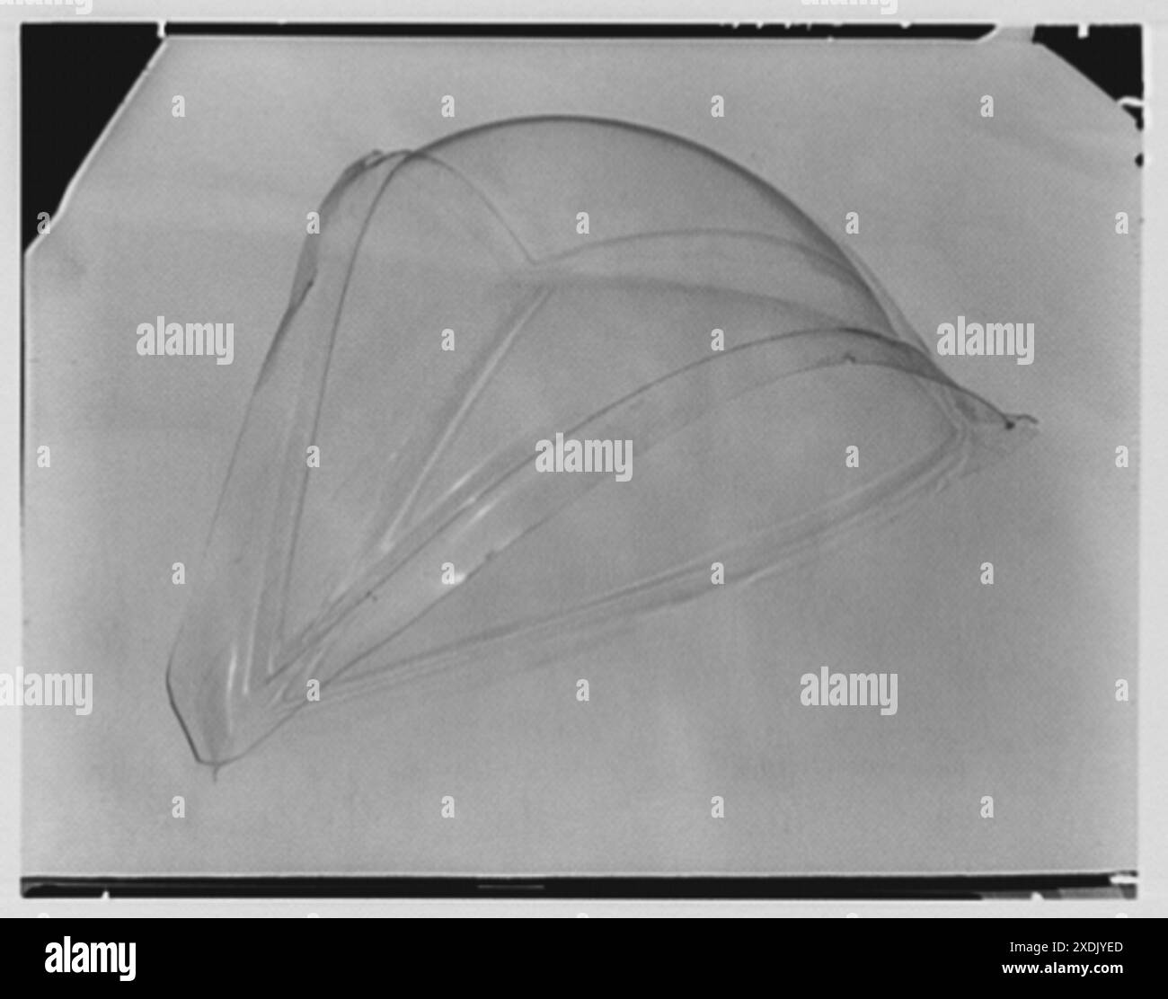 Plastic oyster Black and White Stock Photos & Images - Alamy