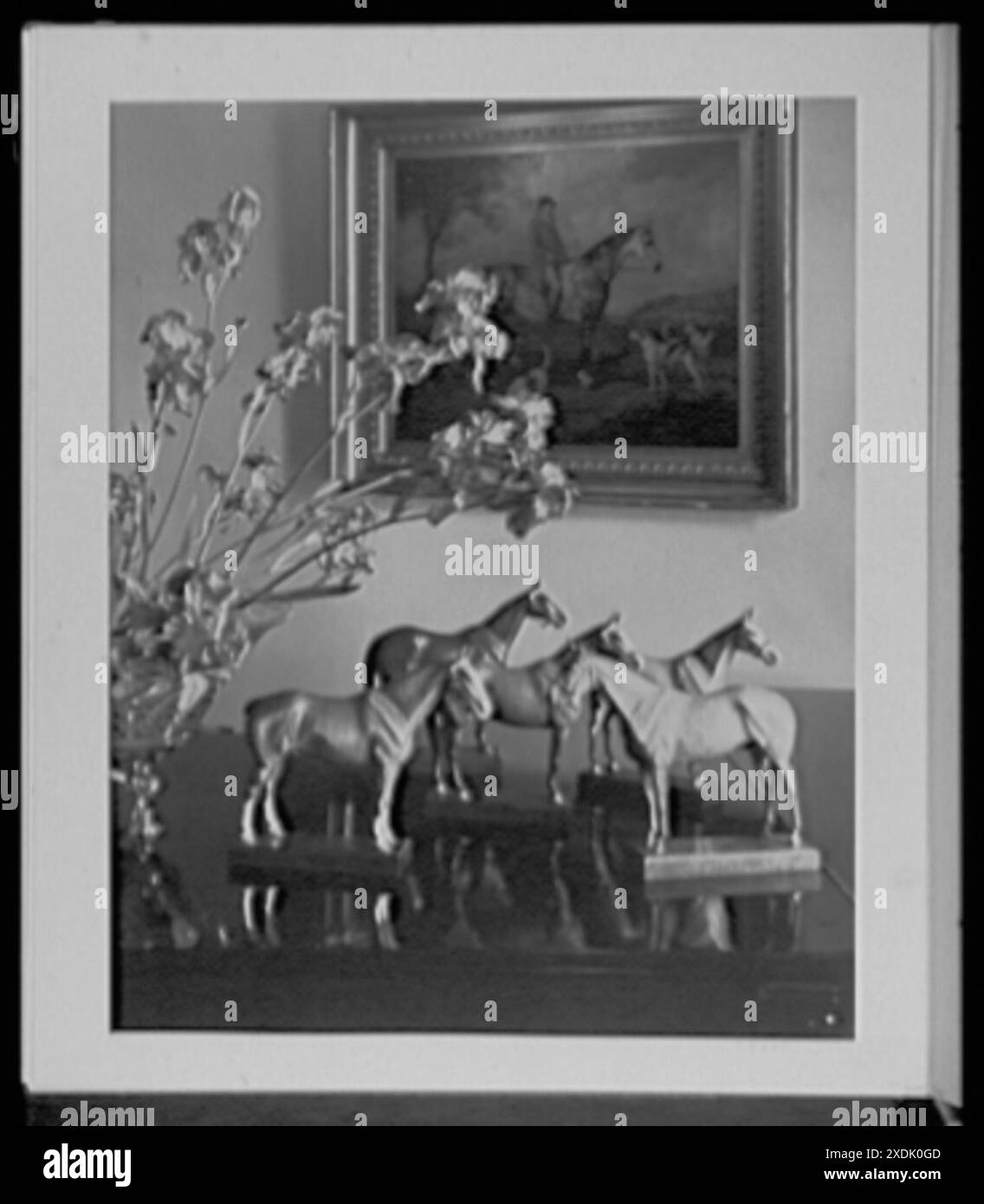Interior view specimen room Black and White Stock Photos & Images - Alamy