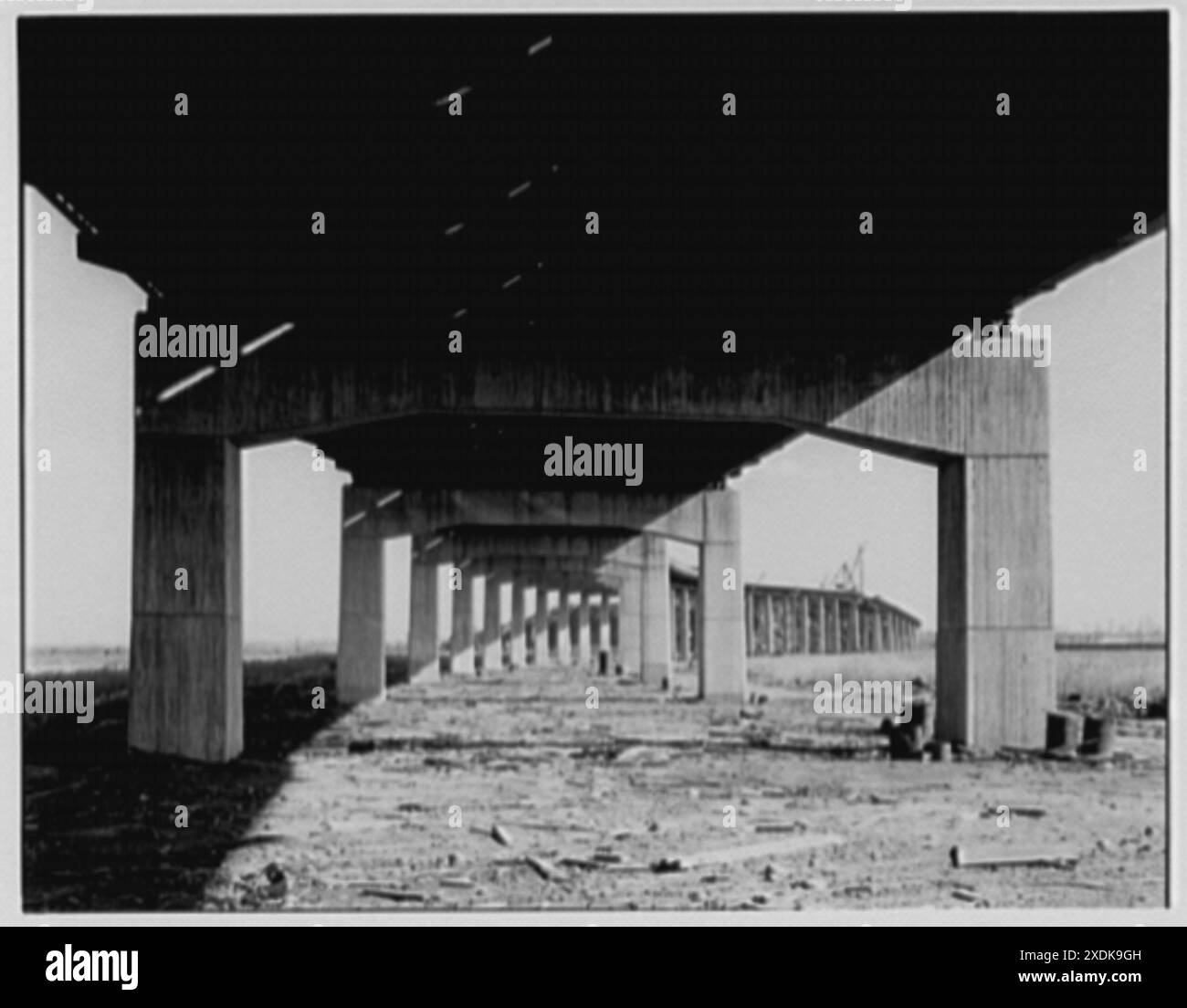 New Jersey Turnpike. Elevated structure over meadows I. Gottscho ...