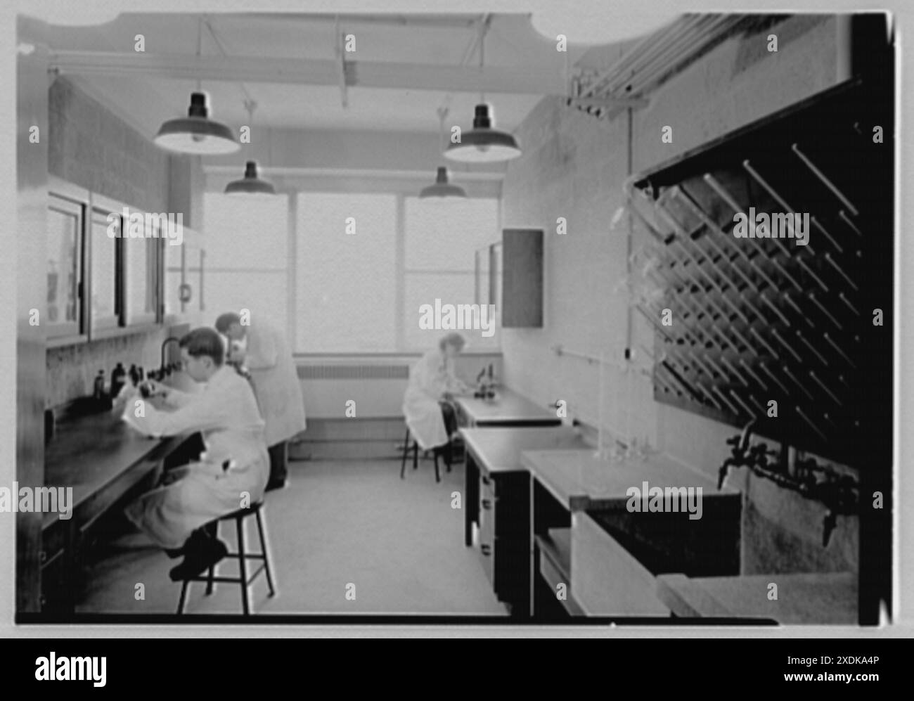 Bellevue Medical Center, New York Hospital. Laboratory III. Gottscho ...