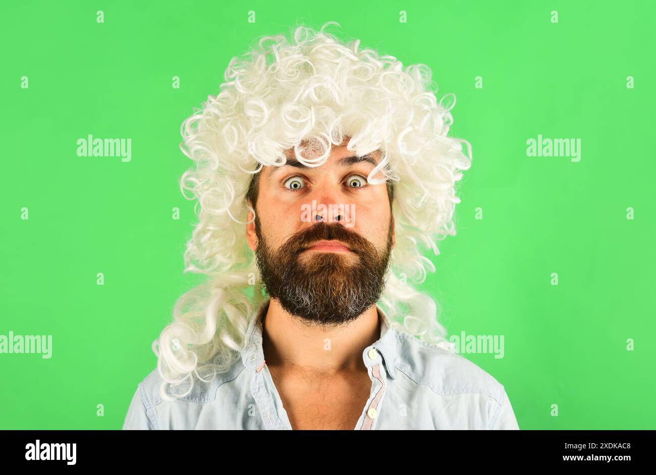 Portrait of bearded man in white wig. Stylish guy with beard and ...