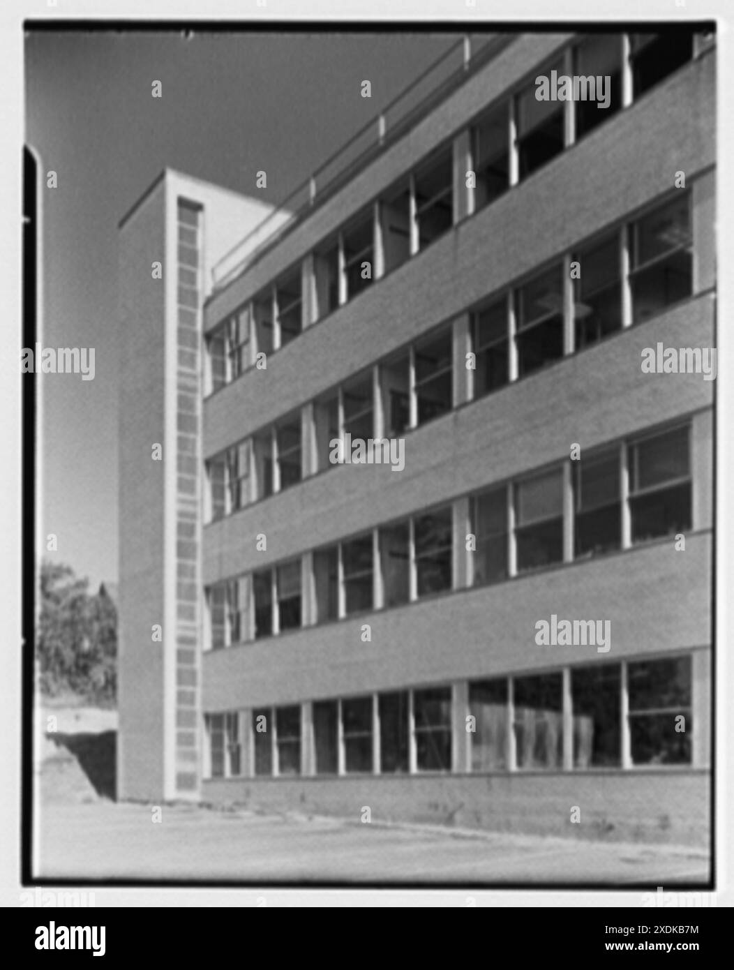 Laboratory of Nuclear Studies, Cornell University, Ithaca, New York ...