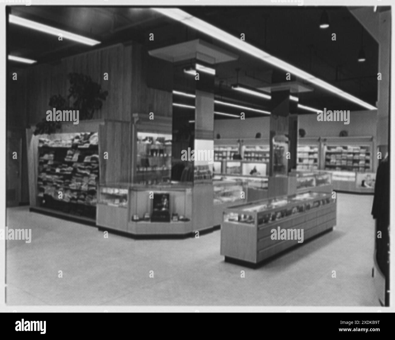 Franklin Simon men's shop, business on 5th Ave., New York City. Cross ...