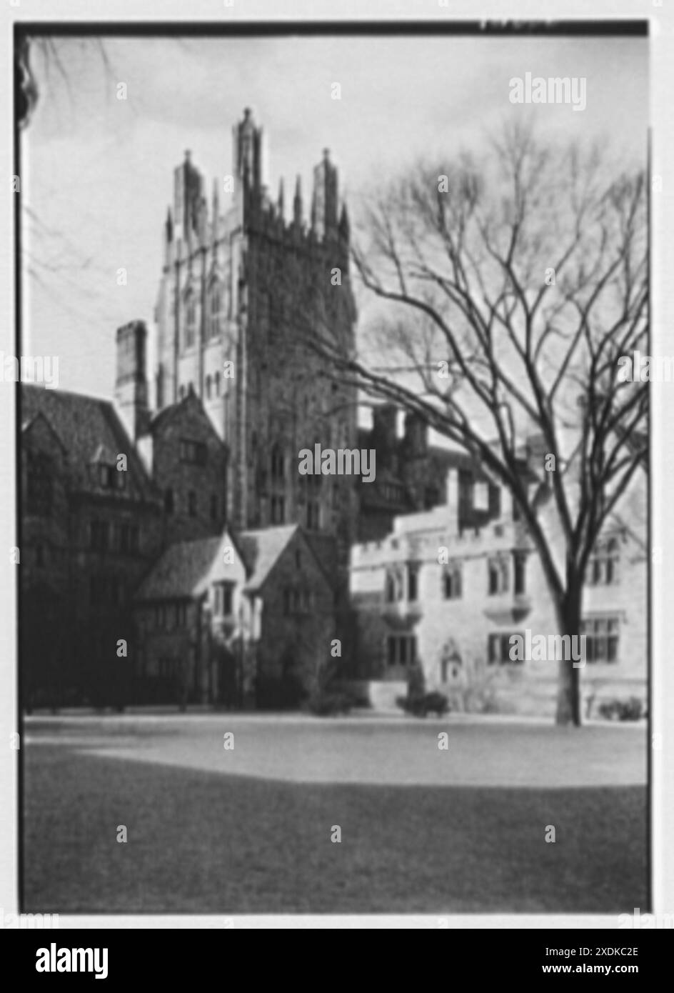 Yale College, New Haven, Connecticut. Vertical detail of Wrexham Tower ...