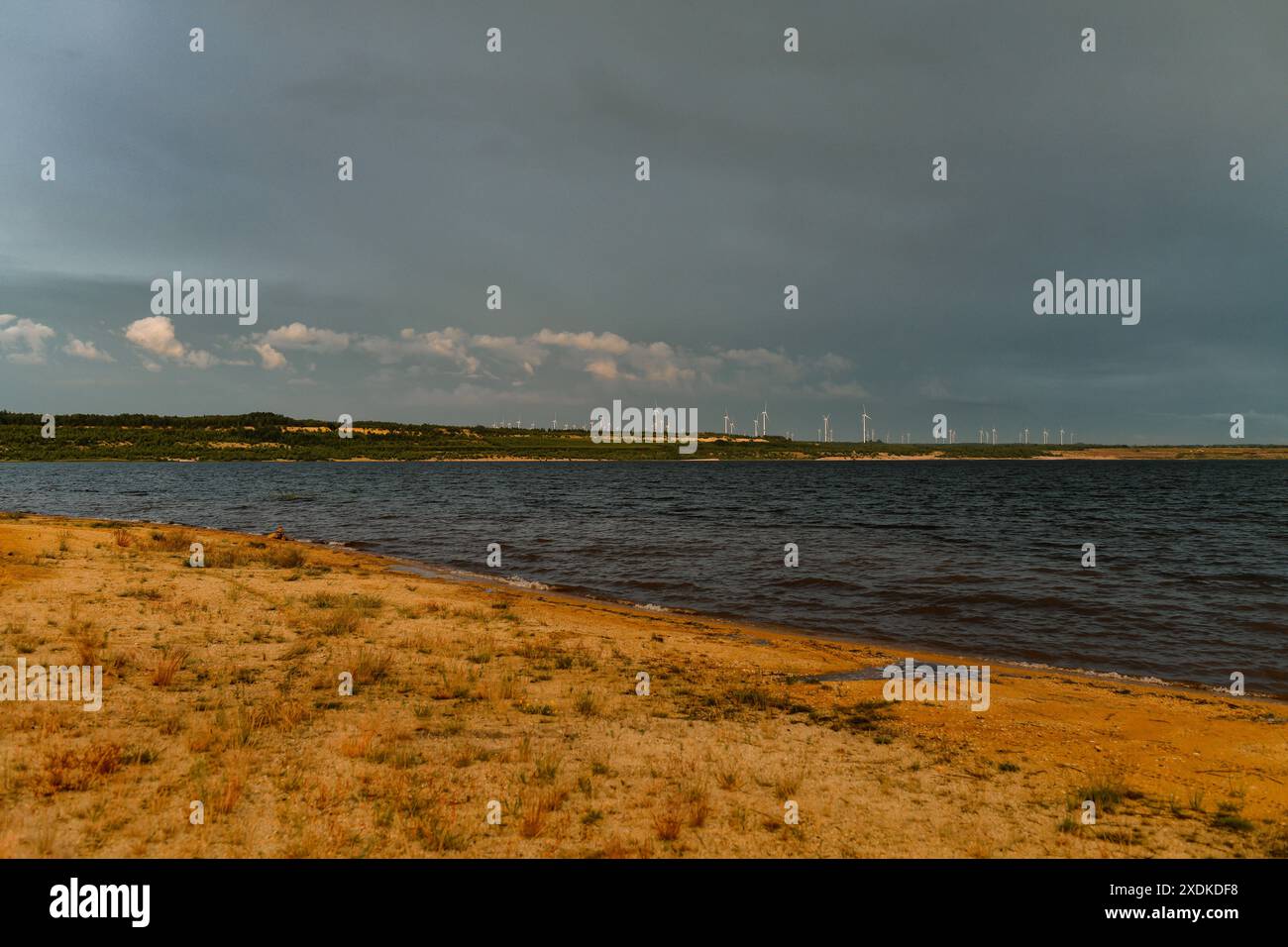Lausitz Blick am 21. Juni 2024 über dem Bergheider See am Bergwerk F60 ...