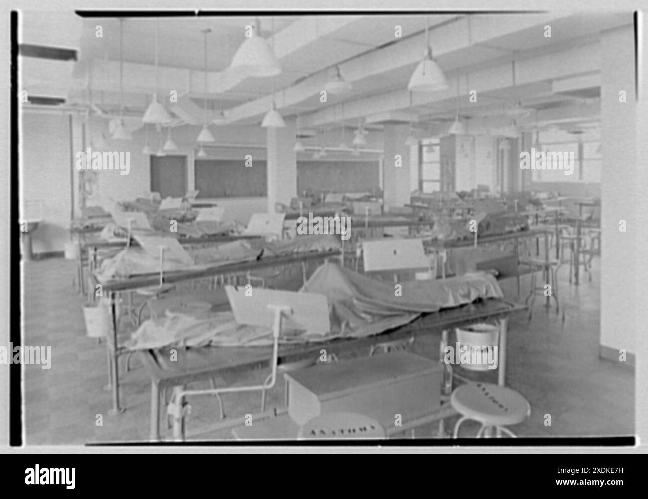 Flower Hospital, 5th Ave. hospital, New York Medical College, 106th St ...