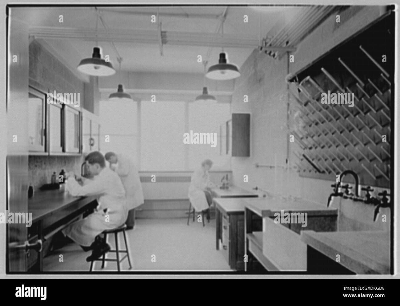 Bellevue Medical Center, New York Hospital. Laboratory III. Gottscho ...