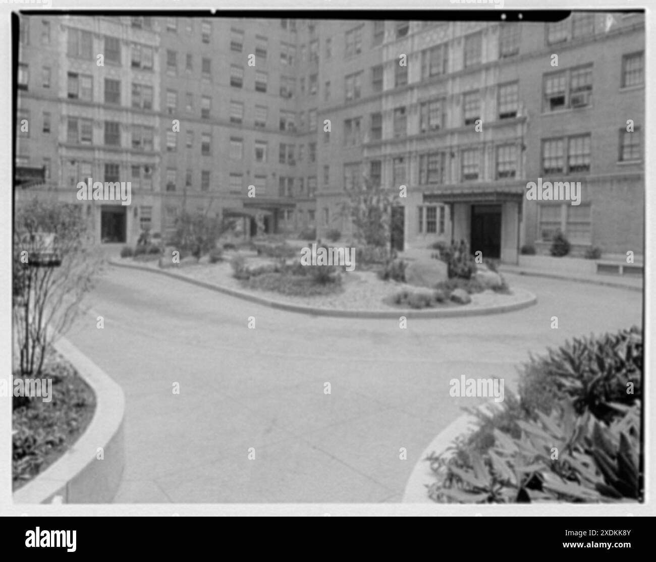 Interior planting Black and White Stock Photos & Images - Alamy