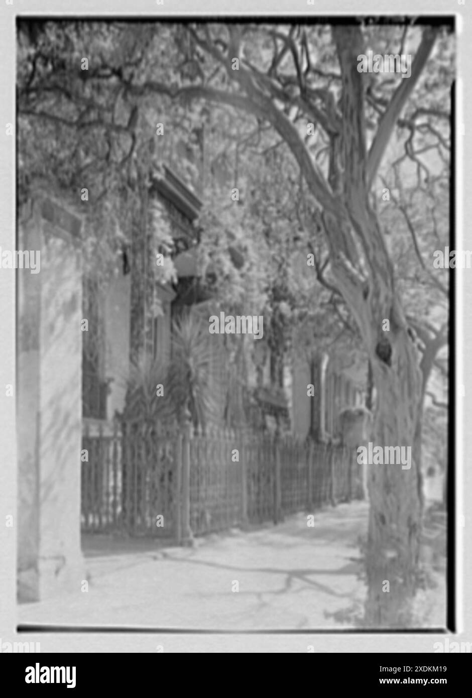 Charleston ironwork details, Charleston, South Carolina. Rutledge House ...