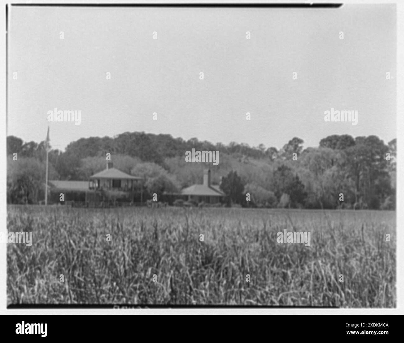 Mrs. Reynolds Bagley, Musgrove Plantation, residence on St. Simons ...