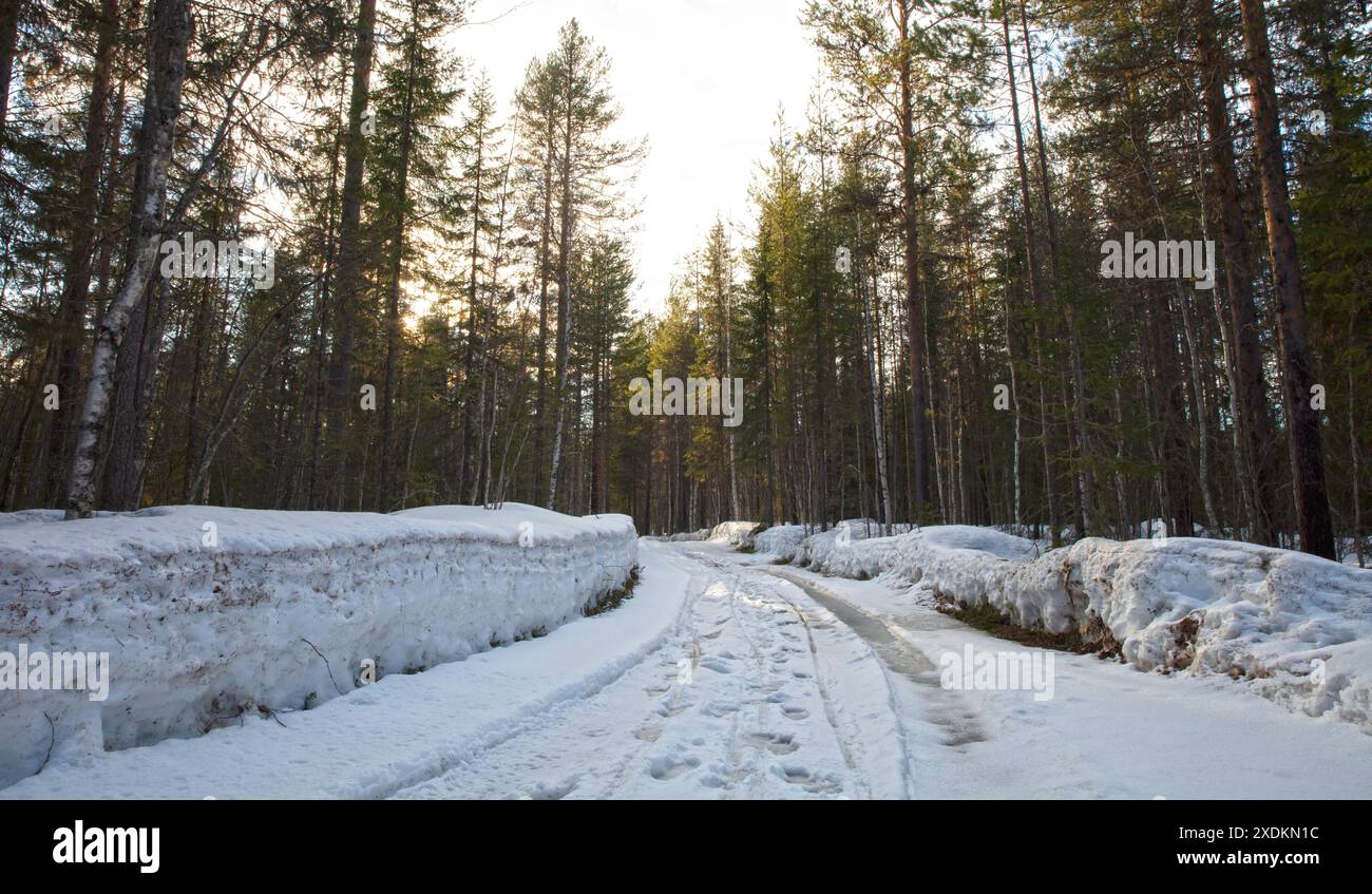 Road with snow in a forrest in Finland Stock Photo - Alamy