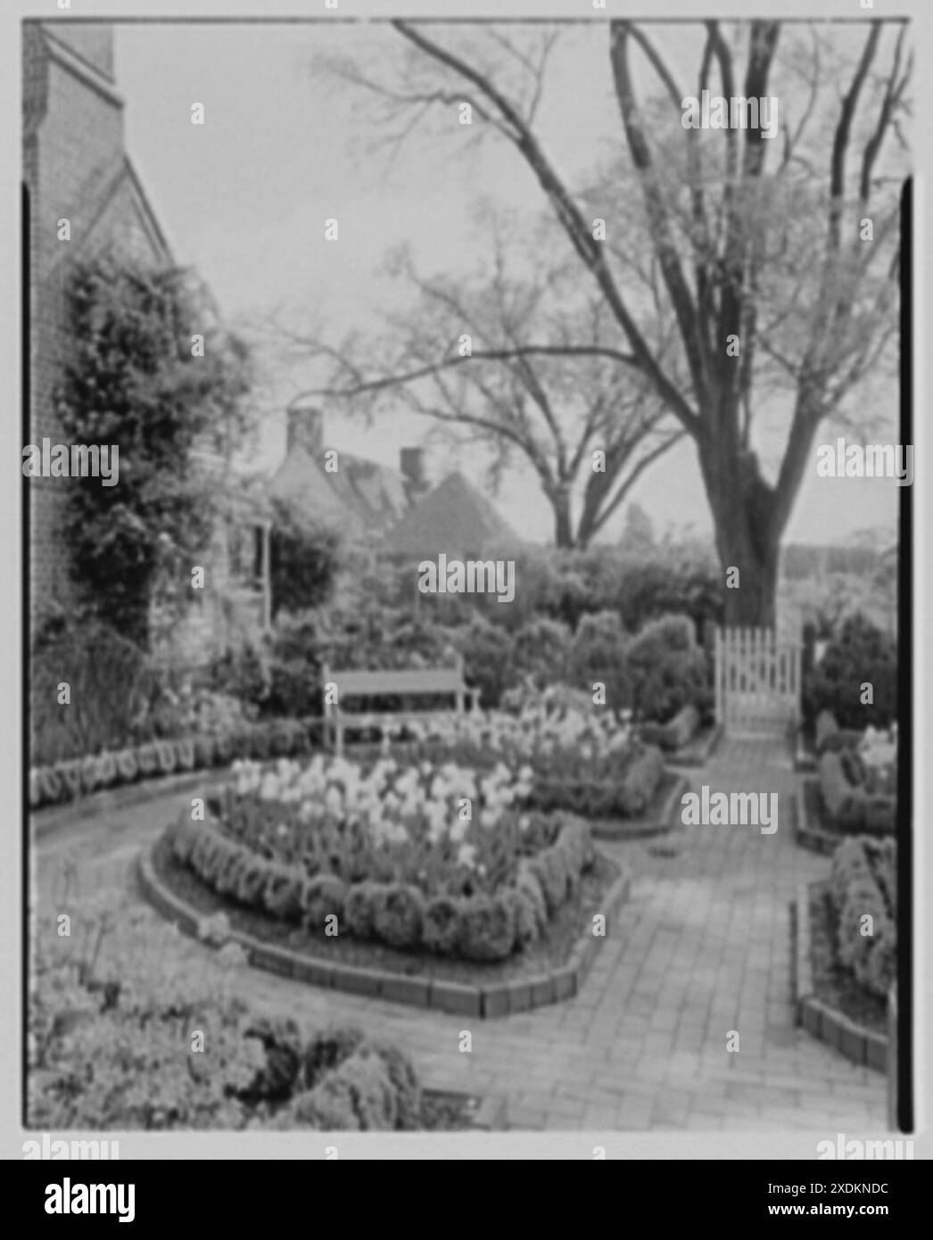 Williamsburg, Virginia, Powell-Waller garden. Garden I. Gottscho ...
