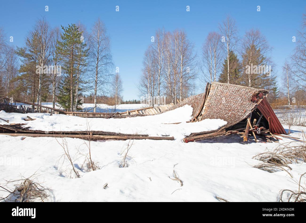 Collapsed structure destroyed by snowfall in Finland, end of winter ...