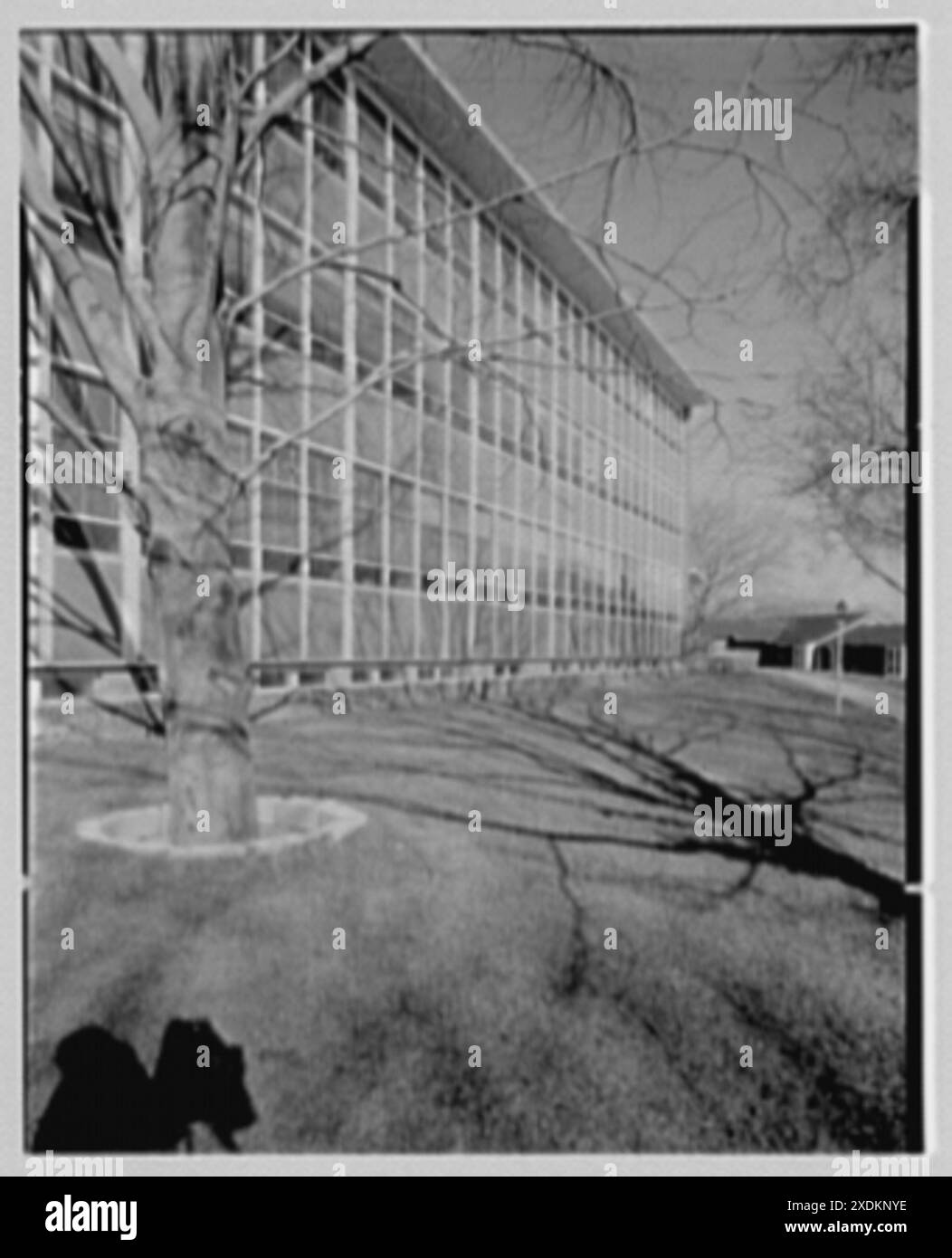 Fairleigh Dickinson University, Science Building, Teaneck, Exterior III ...