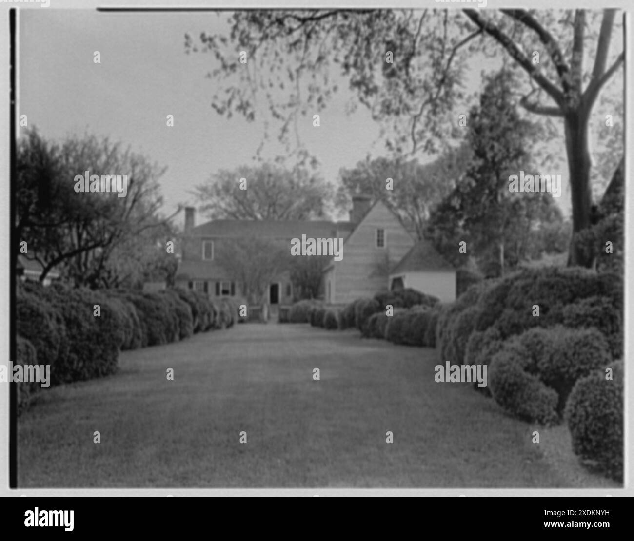 Williamsburg, Virginia, Ludwell-Paradise. Boxwood, to house. Gottscho ...
