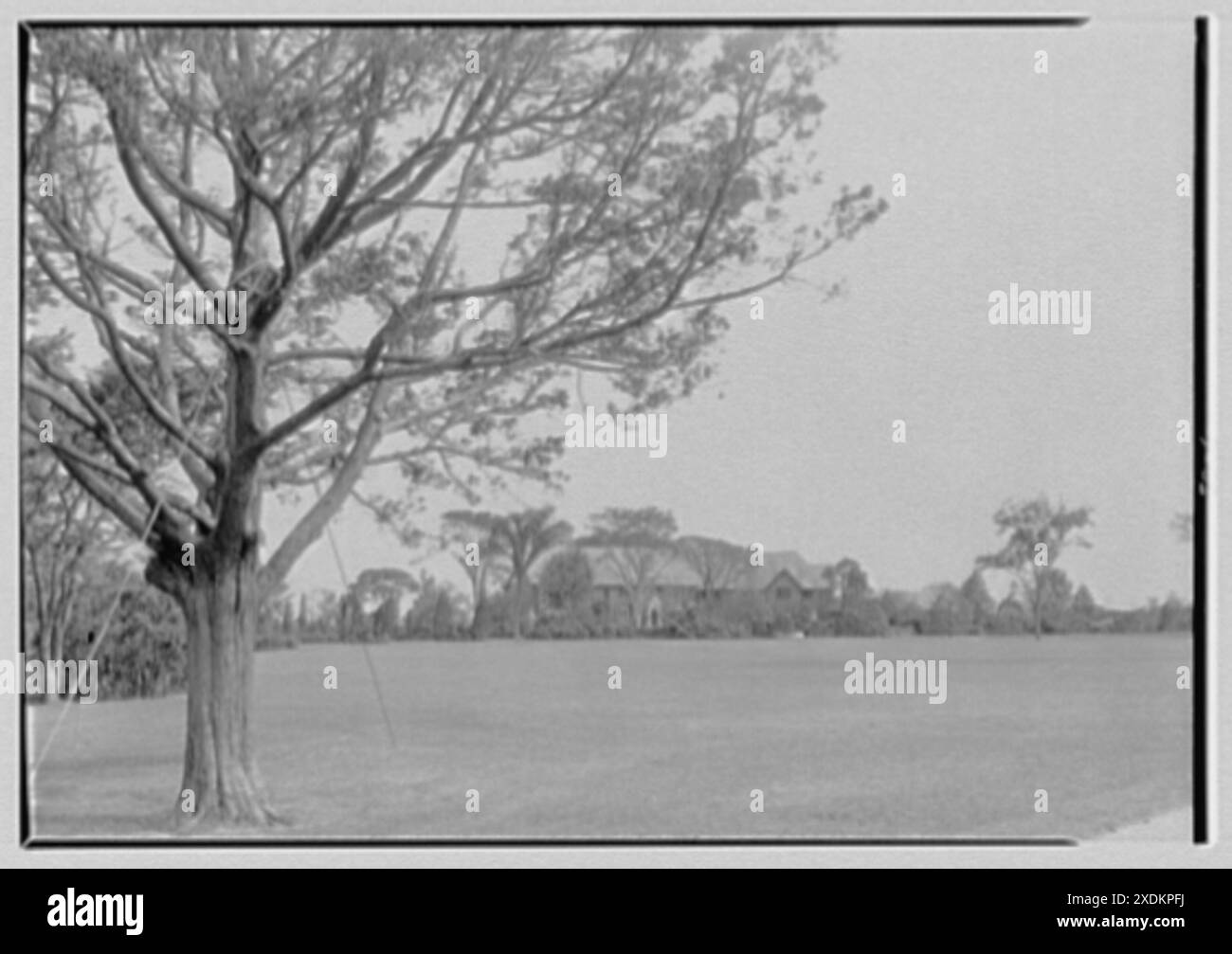 L.K. Thorne, residence in Bayshore, Long Island. Main house under tree ...