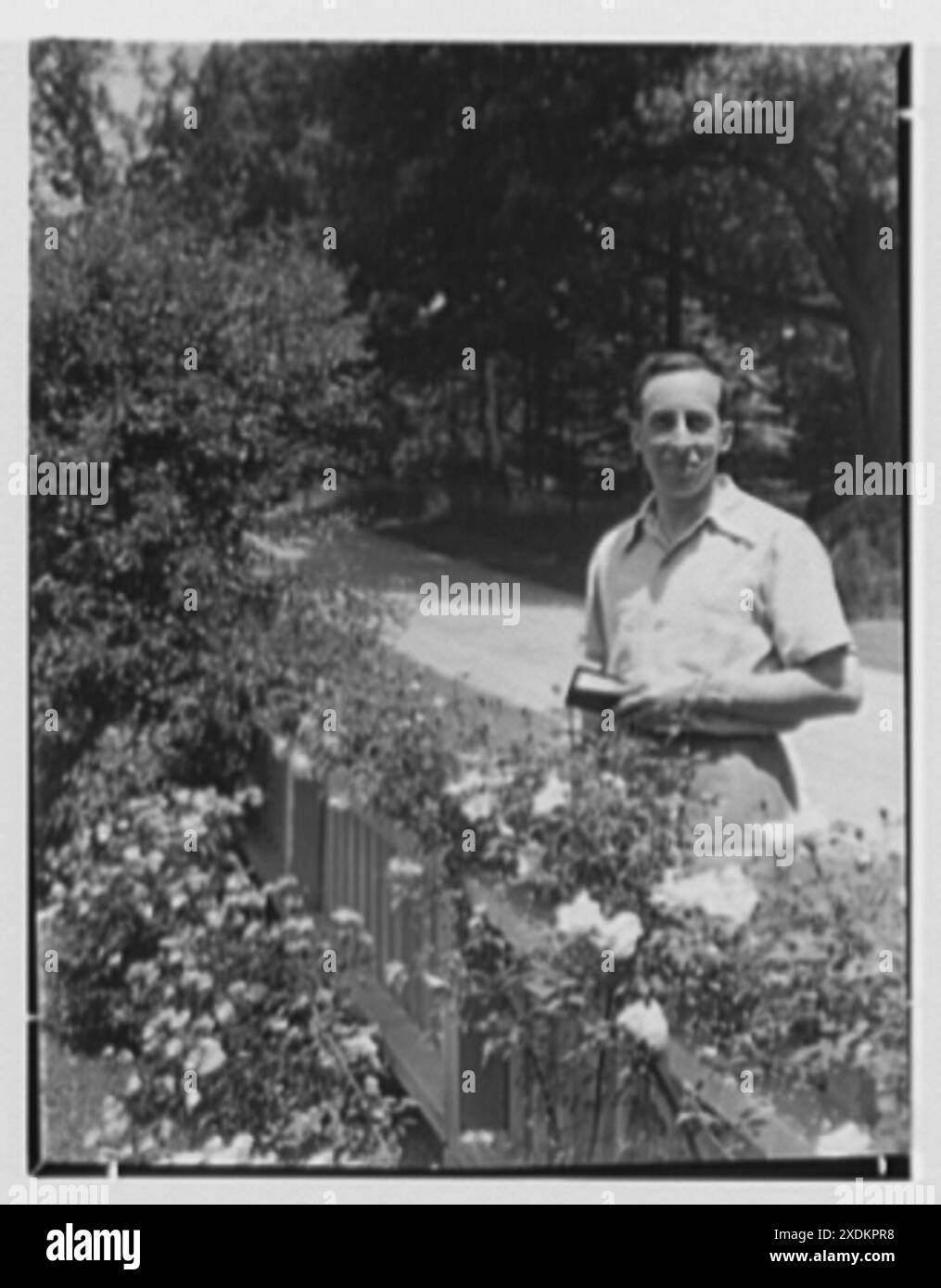 Frese hi-res stock photography and images - Alamy