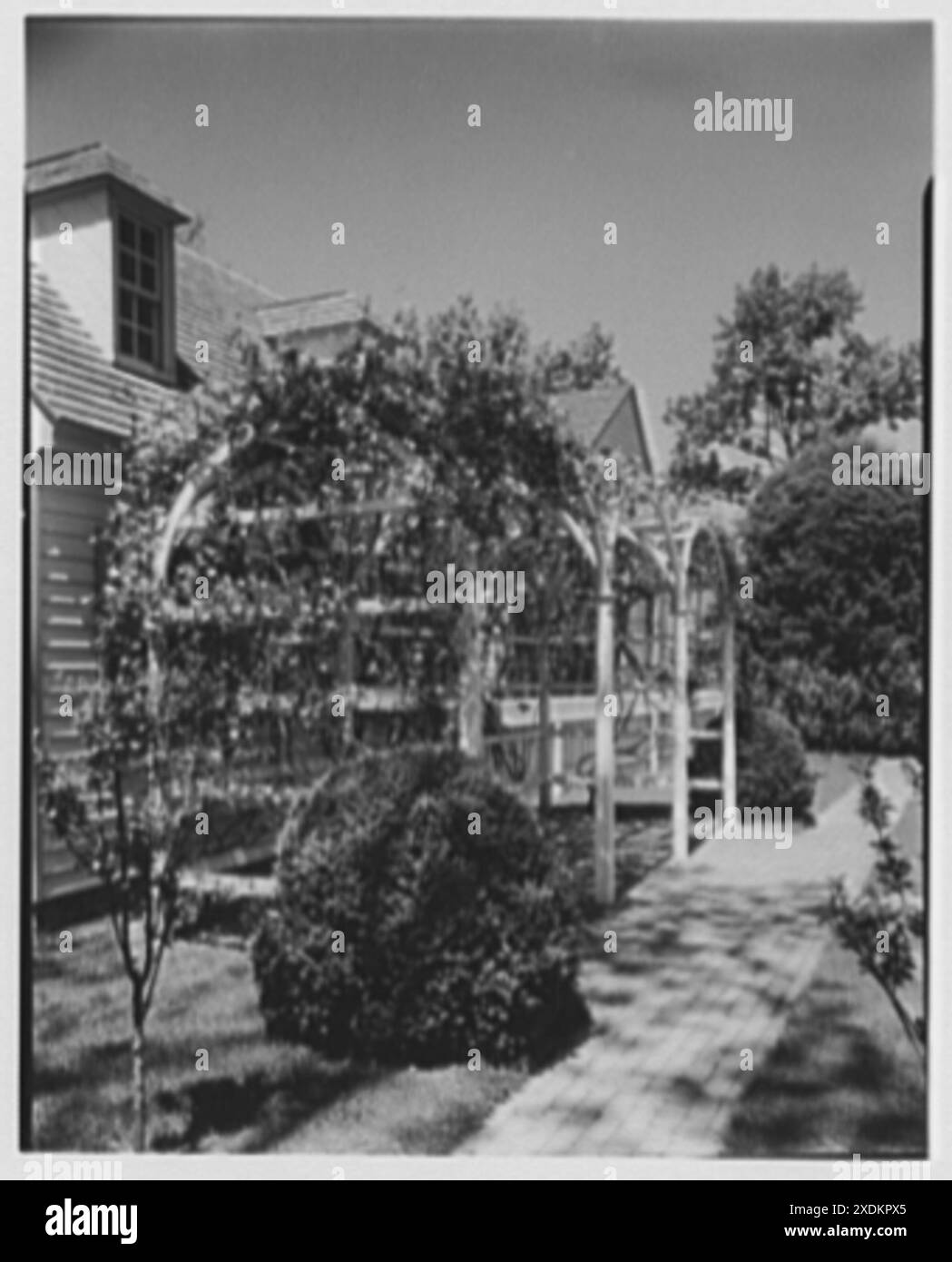 Williamsburg, Virginia, Bryan house. Coral honeysuckle arbor. Gottscho ...