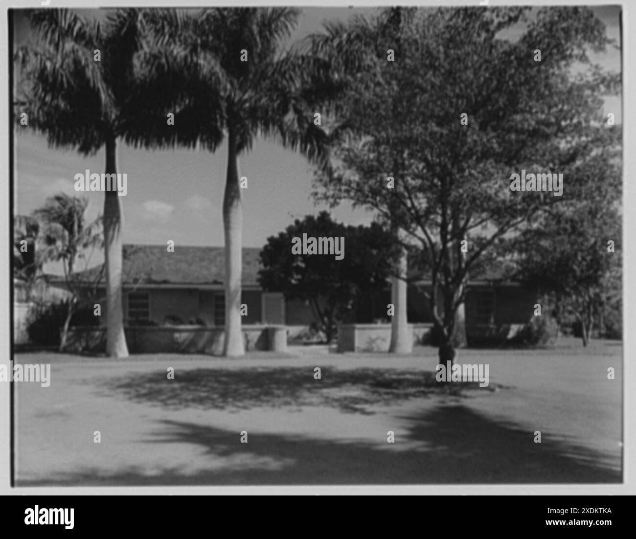 Port Royal houses, Naples, Florida. Pink house. Gottscho-Schleisner ...