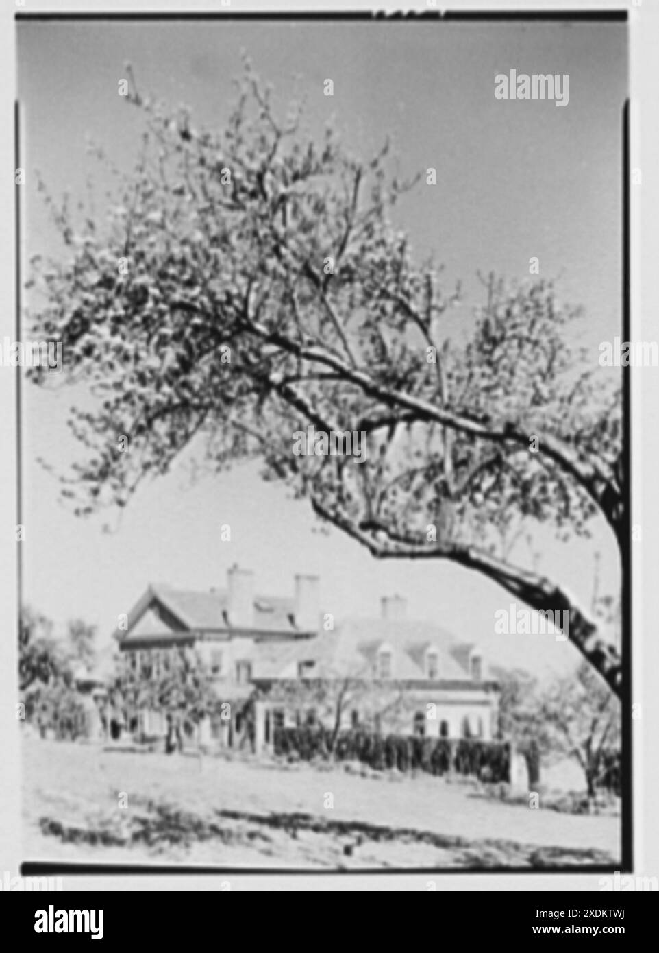 Mott b schmidt hi-res stock photography and images - Alamy