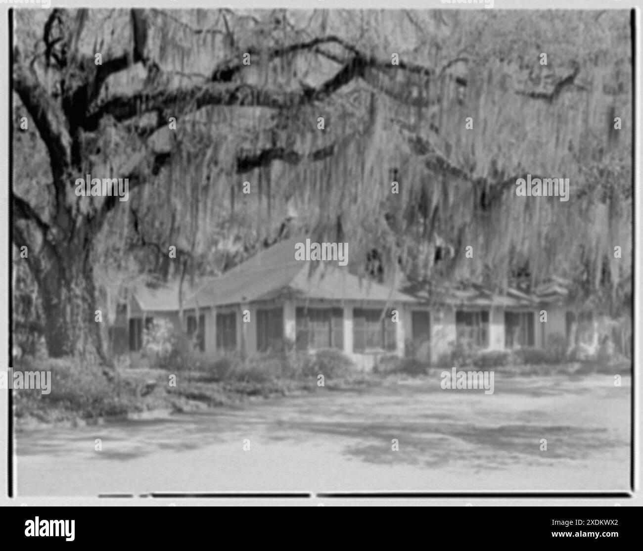 Mrs. Reynolds Bagley, Musgrove Plantation, residence on St. Simons ...