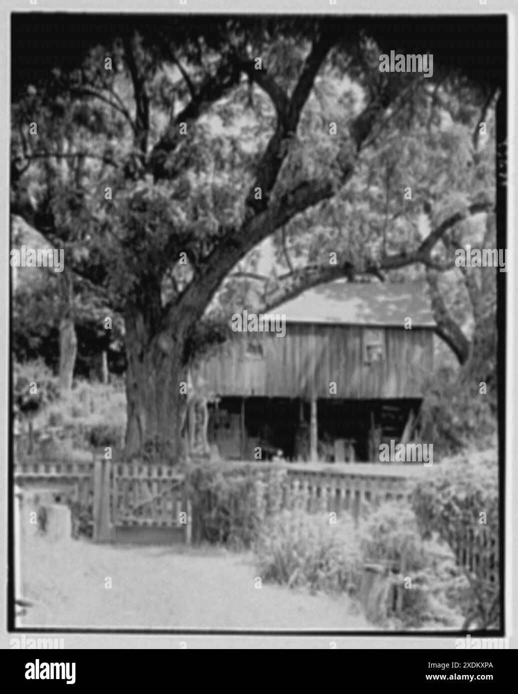 Stony Brook, Long Island. Old Timothy Smith shed. Gottscho-Schleisner ...