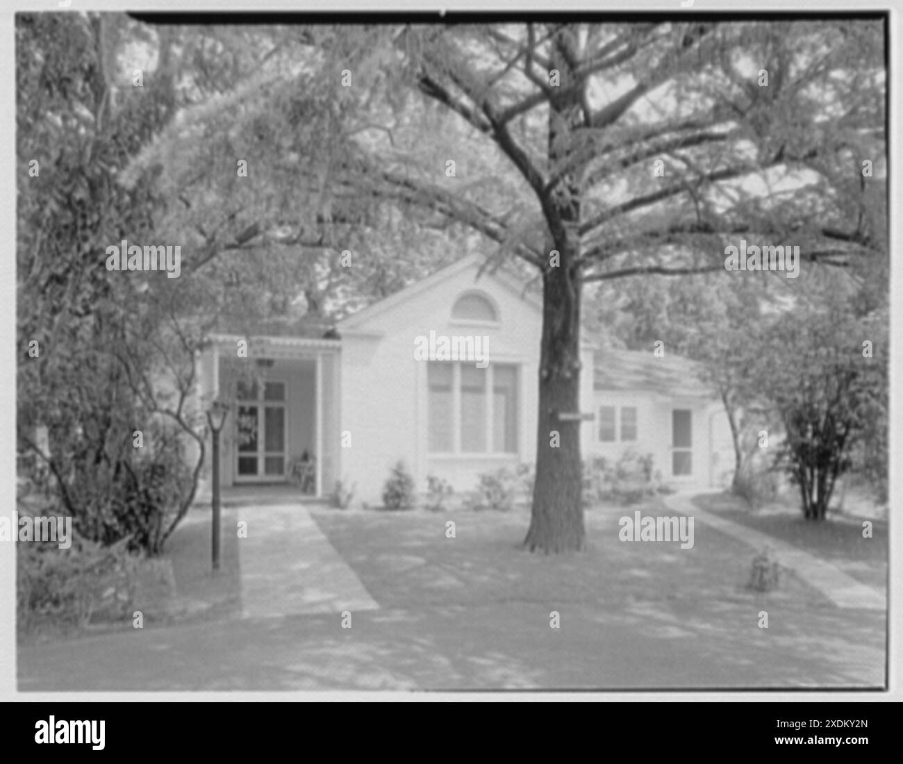 Independence professional Black and White Stock Photos & Images - Alamy