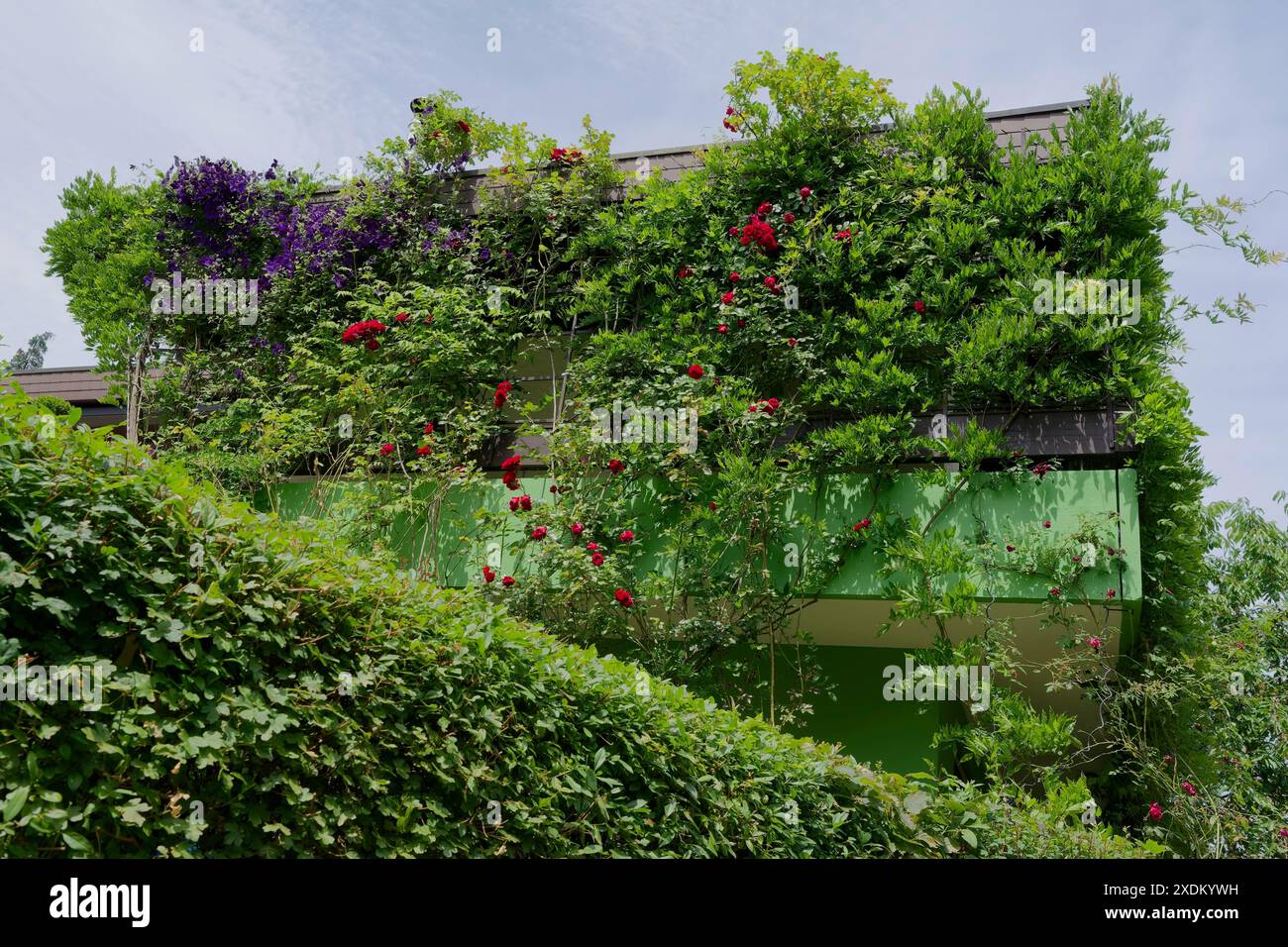 Facade greening, facade greening, biodiversity, greenery, ecology ...