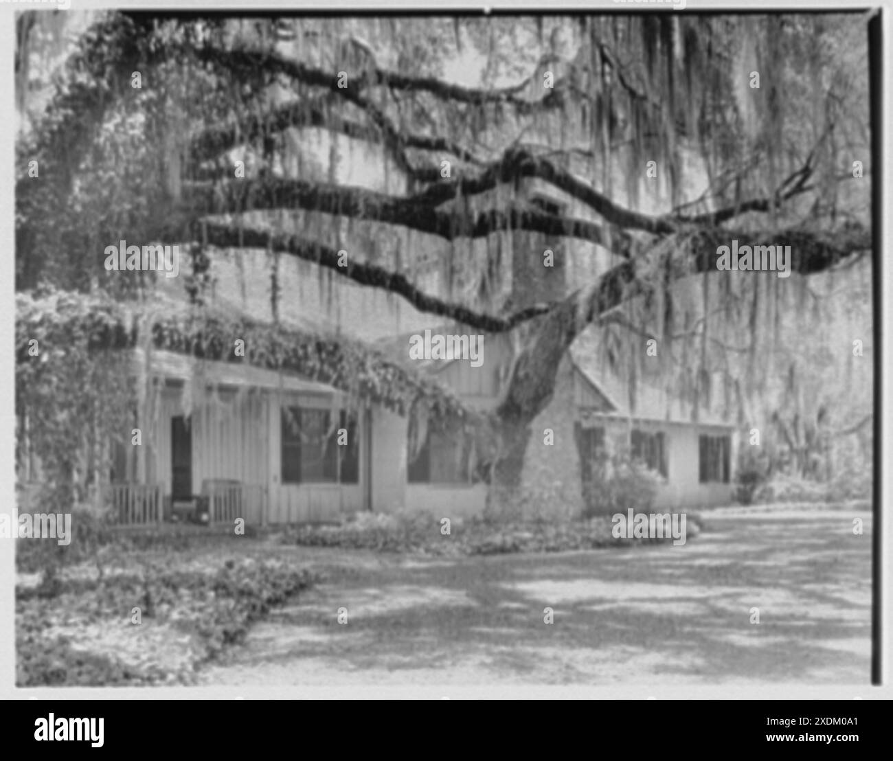 Mrs. Reynolds Bagley, Musgrove Plantation, residence on St. Simons ...