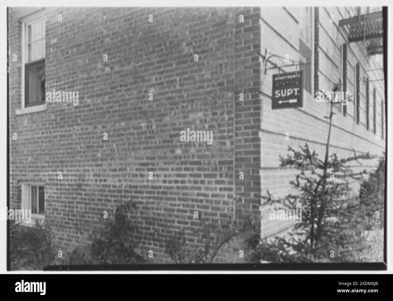 1491 Watson Ave., Bronx. Jointed and struck work. Gottscho-Schleisner ...