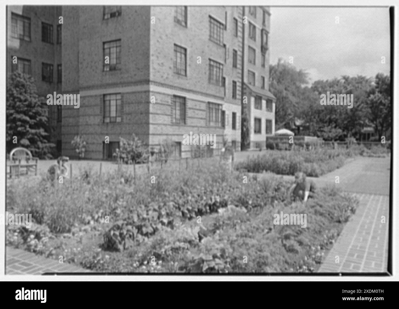 Terrace panels Black and White Stock Photos & Images - Alamy