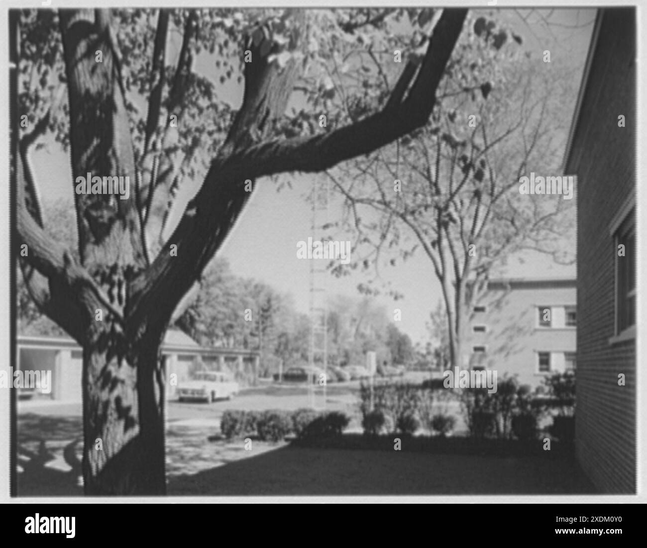 Long island police department hi-res stock photography and images - Alamy