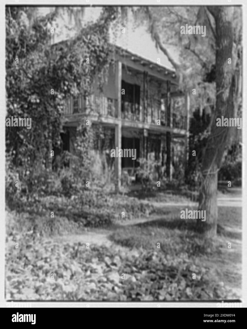 Mrs. Reynolds Bagley, Musgrove Plantation, residence on St. Simons ...