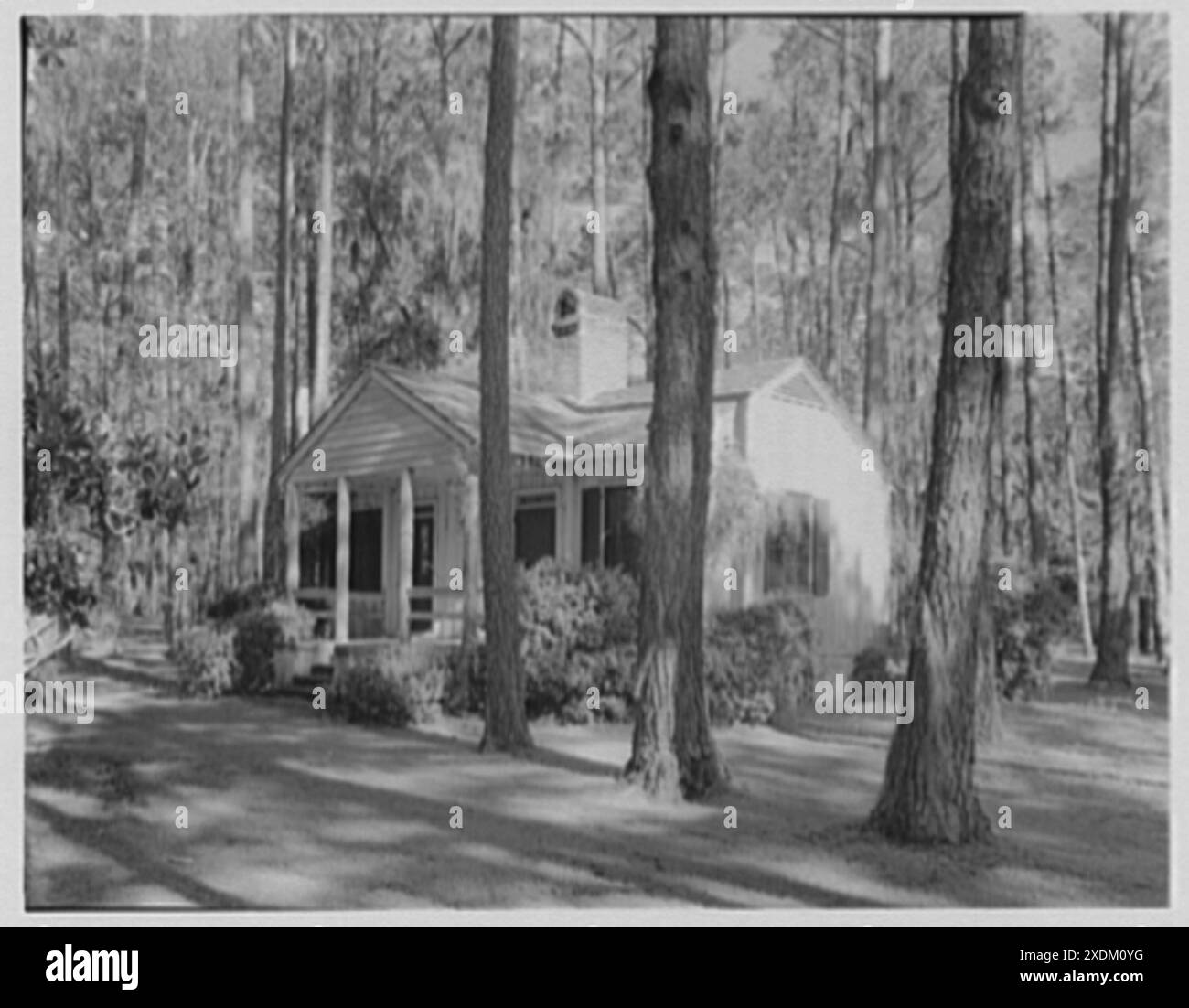 Mrs. Reynolds Bagley, Musgrove Plantation, residence on St. Simons ...
