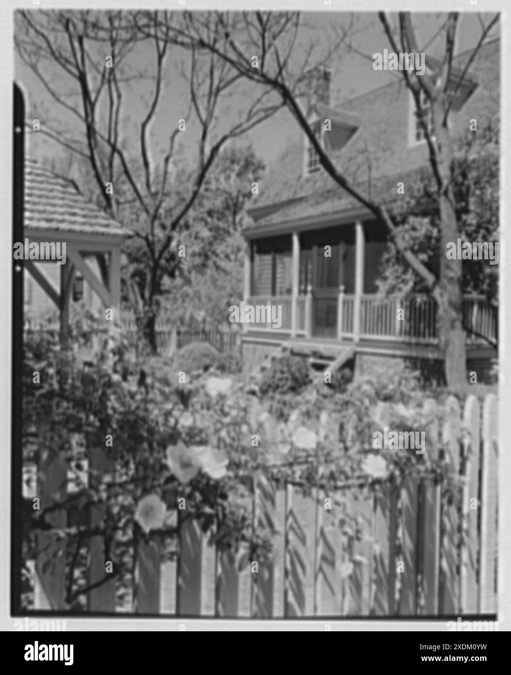 Williamsburg, Virginia, Bryan house. Roses on fence I. Gottscho ...