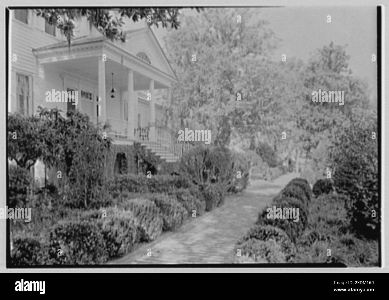 H.S. Shonnard, Harrieta Plantation, residence in Santee, South Carolina ...