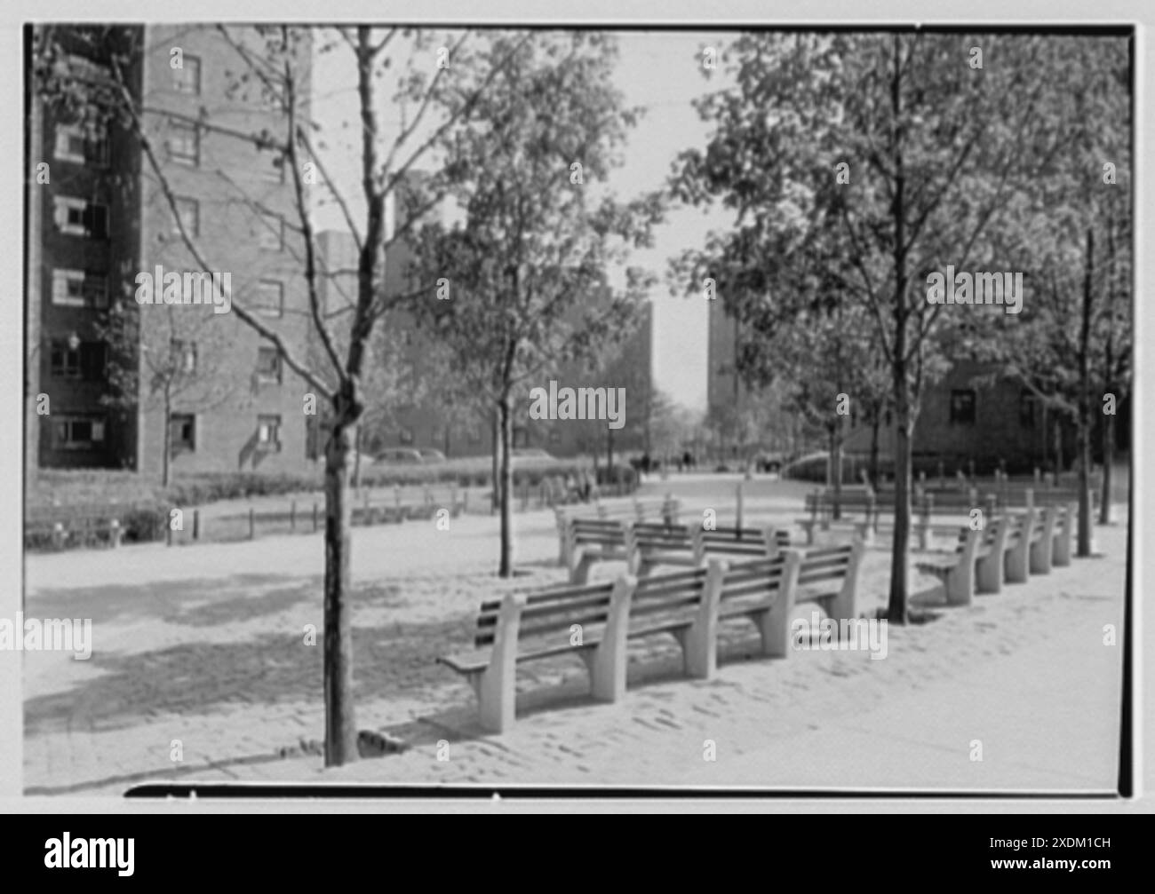 Abraham Lincoln Houses, 135th St. and Madison Ave., New York City ...