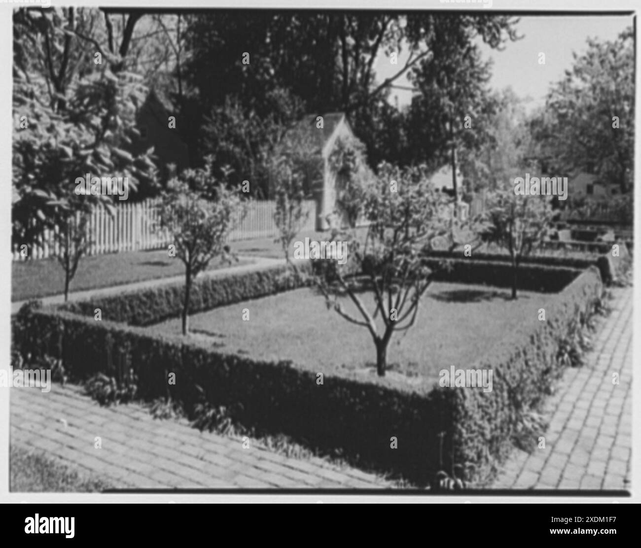 Williamsburg, Virginia, Bryan house. Dwarf fruit trees. Gottscho ...