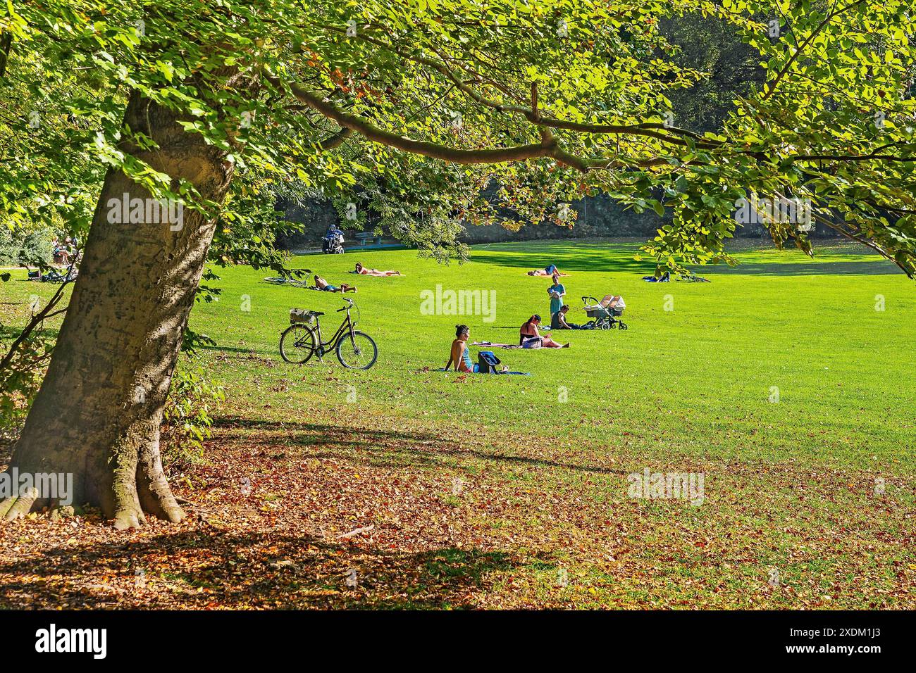 People sunbathing in Bavariapark, Munich, Upper Bavaria, Bavaria ...